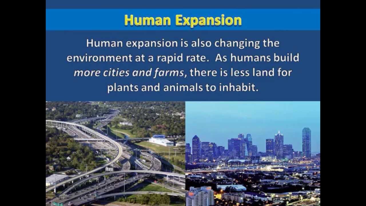 Human Expansion and Construction - YouTube