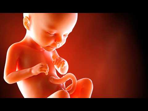 How to Build a Baby