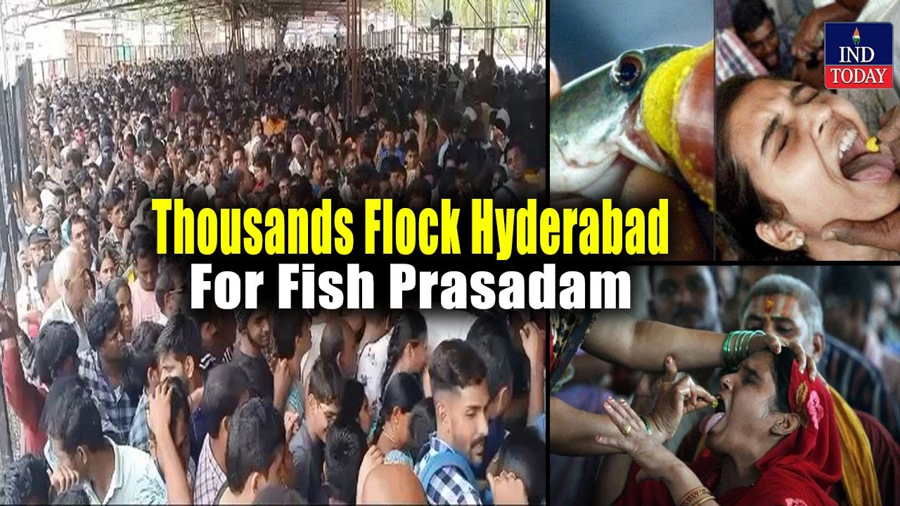 Thousands Flock Hyderabad For Fish Prasadam | IND Today - YouTube