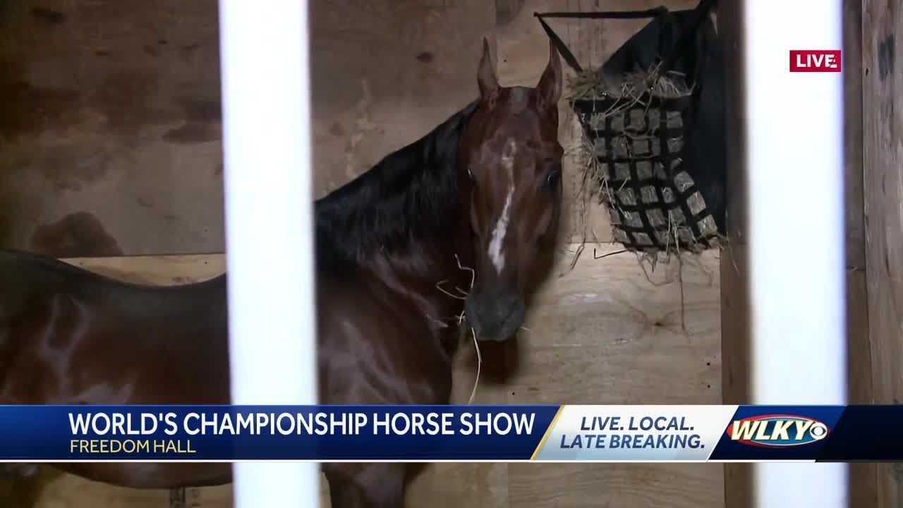 Preview of World's Championship Horse Show at the Kentucky State Fair ...