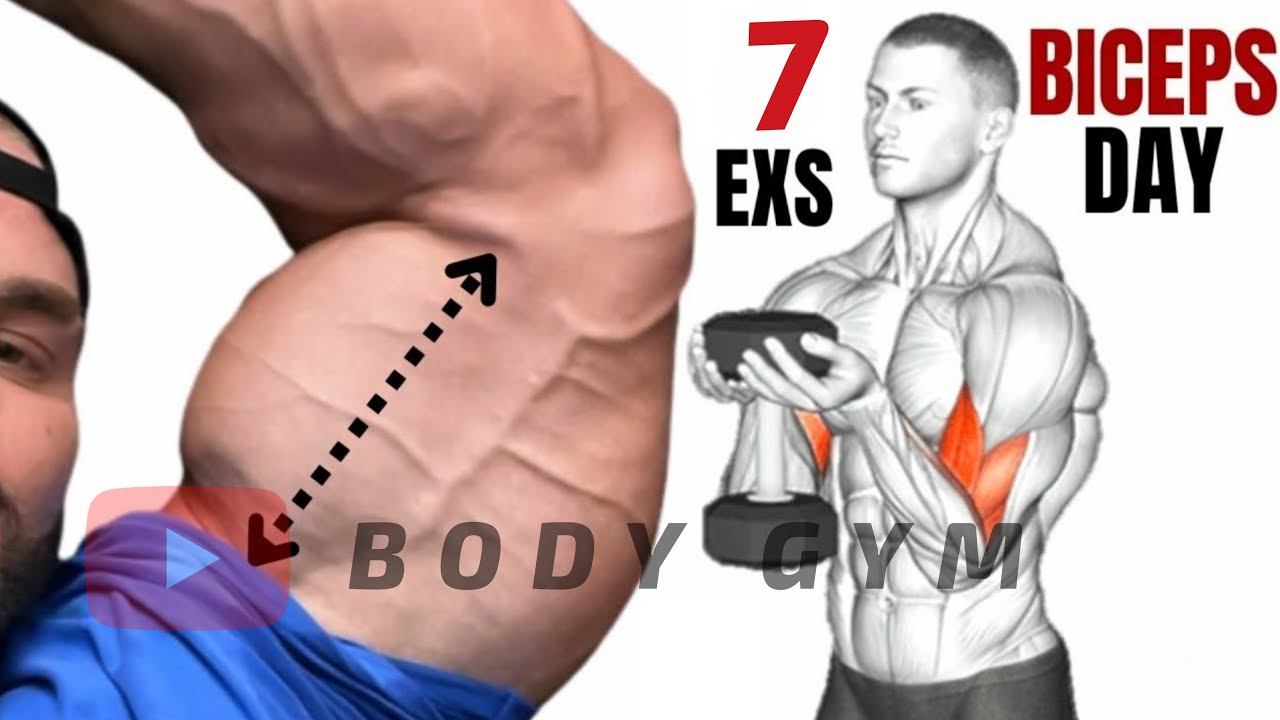 bicep exercises:7 Best Bicep exercises at gym - YouTube