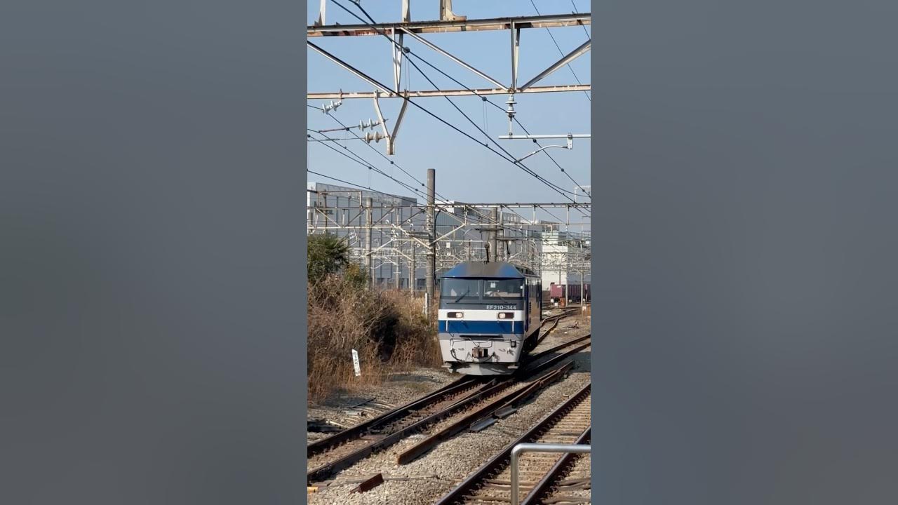 EF210-344 [単機] 桃太郎 #ef210桃太郎 2025/1/24 - YouTube