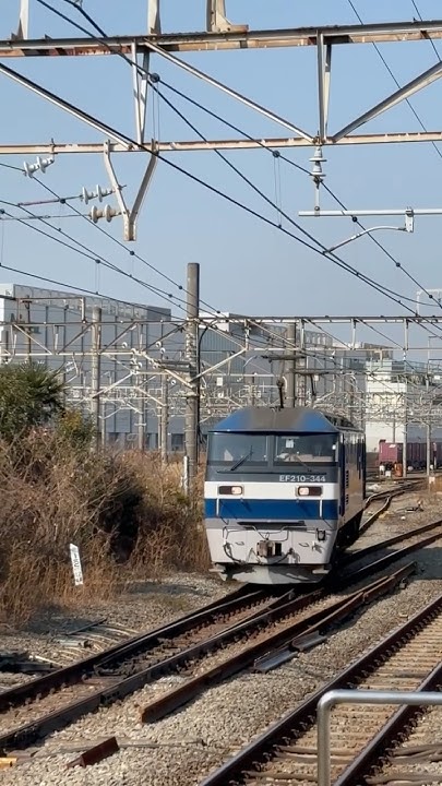 EF210-344 [単機] 桃太郎 #ef210桃太郎 2025/1/24 - YouTube