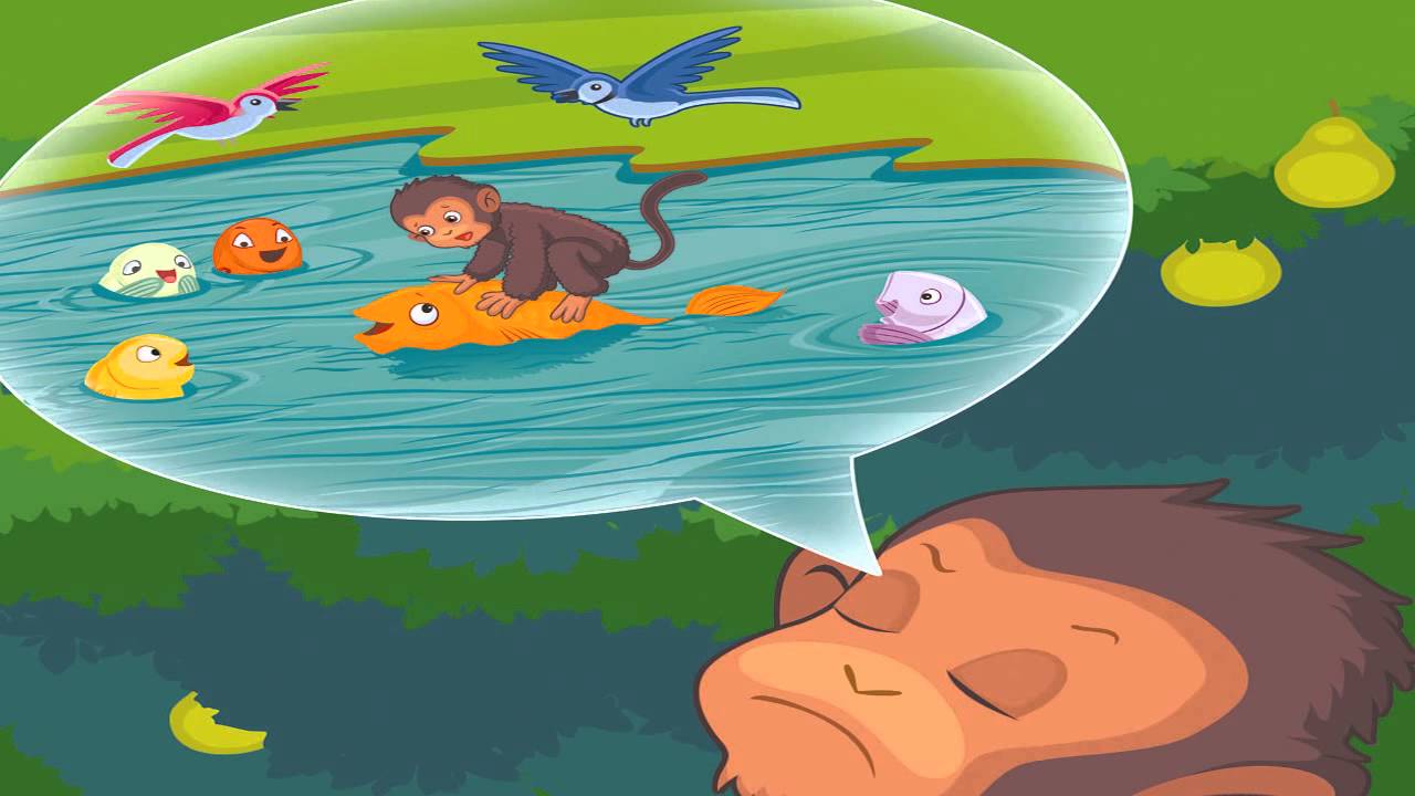 Foolish Fish and Wise Monkey by Tlalanyane Tshabang - YouTube