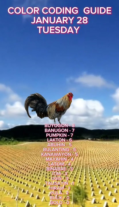 COLOR CODING GUIDE KULAY NG MANOK JANUARY 28,2025 - YouTube