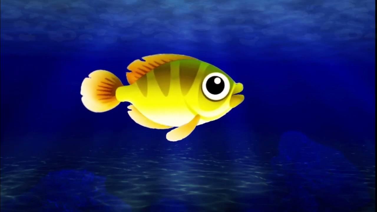 Fish Animation |Fishes| - YouTube