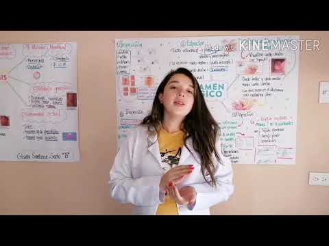 Anamnesis-Examen Físico-Exámenes Complementarios del aparato genital ...