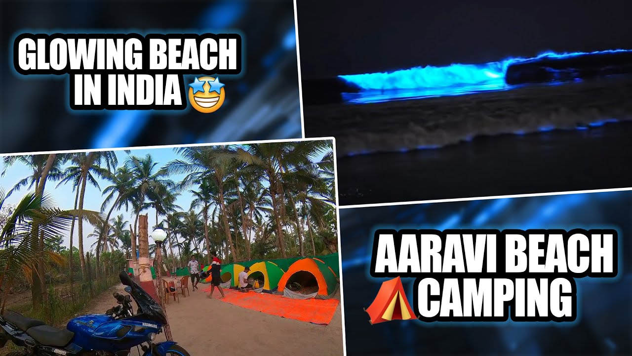 Bioluminescence In INDIA😍| Aaravi Beach Camping | Blue Waves💙 | Beach ...