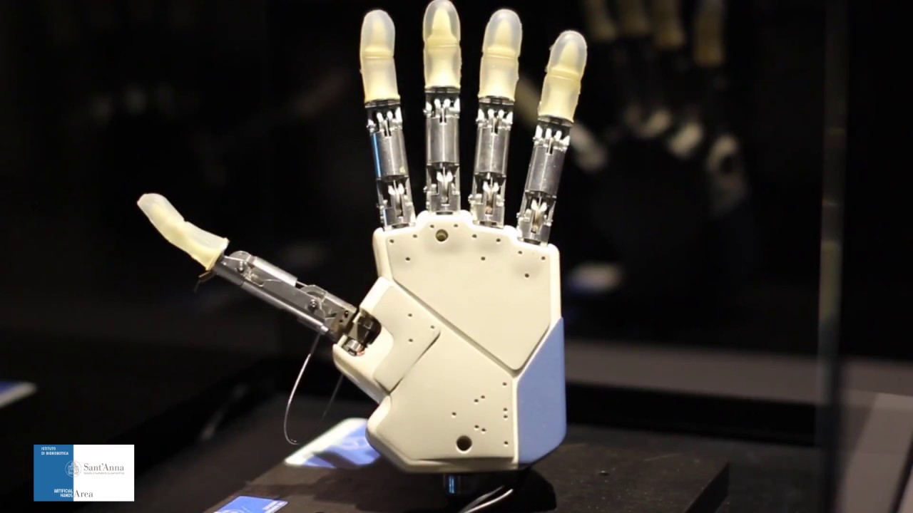 Artificial Hands Area - The BioRobotics Institute of Scuola Superiore ...