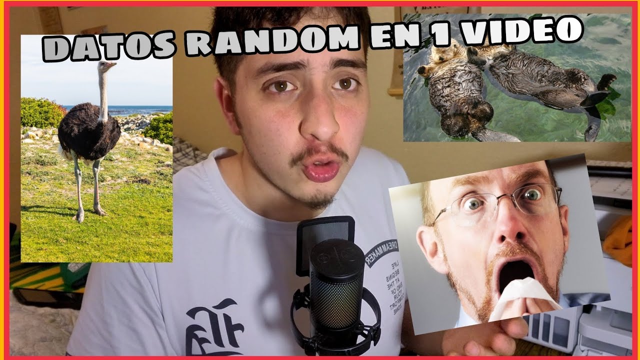 Datos random en 1 video -curiosidades - YouTube