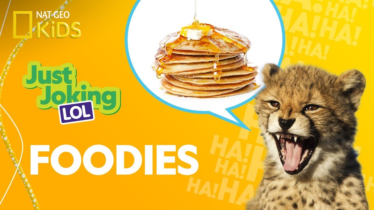 Foodies | Just Joking—LOL - YouTube