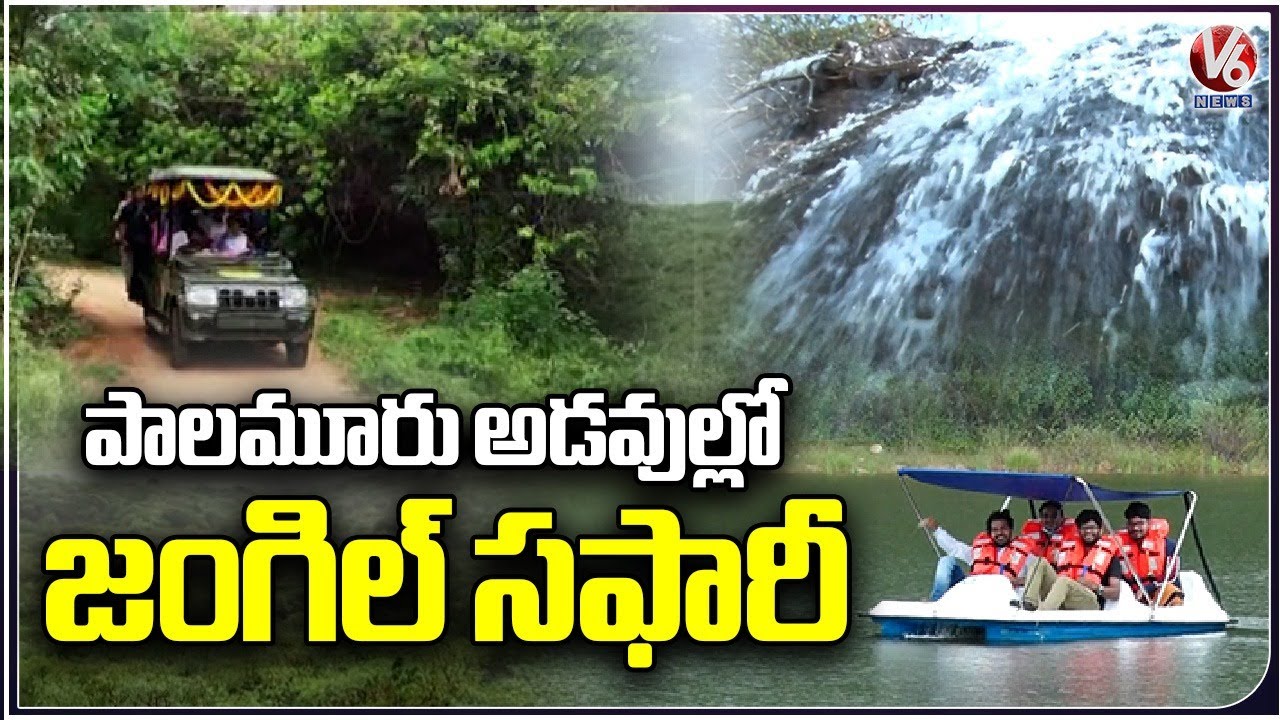 Mayuri ECO Tourism Park | Jungle Safari In Mahabubnagar | V6 News - YouTube