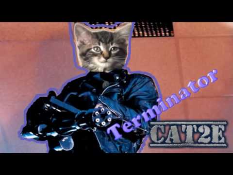 میری بلی گاتی Terminator