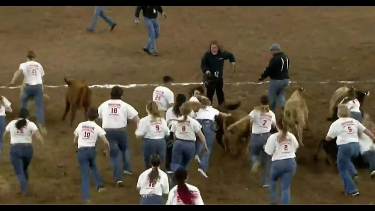 RodeoHouston calf scramble - YouTube