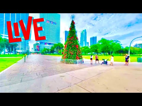 🔴 Live Disney Day Off, Road Trip To Miami, Bayside, Downtown, Court ...