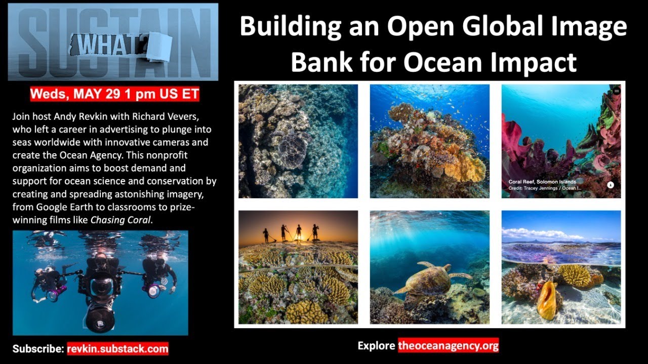 Building an Open Global Image Bank for Ocean Impact - YouTube