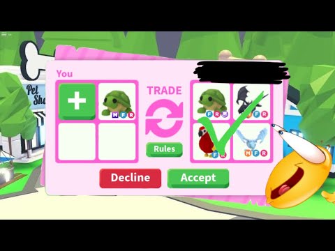 seeing offers for my mfr turtle!!!😍😍 - YouTube