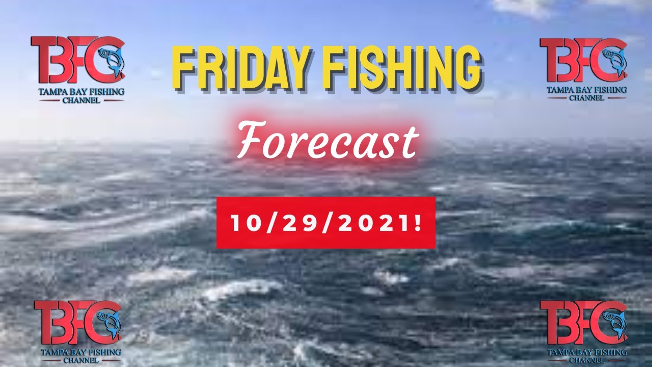 Friday Fishing Forecast for the weekend of 10/29! - YouTube