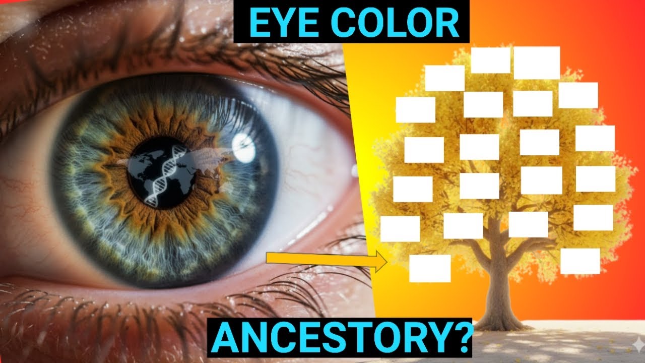 “The Hidden Genetic Secrets of Eye Color | Ancestry Explained Through ...