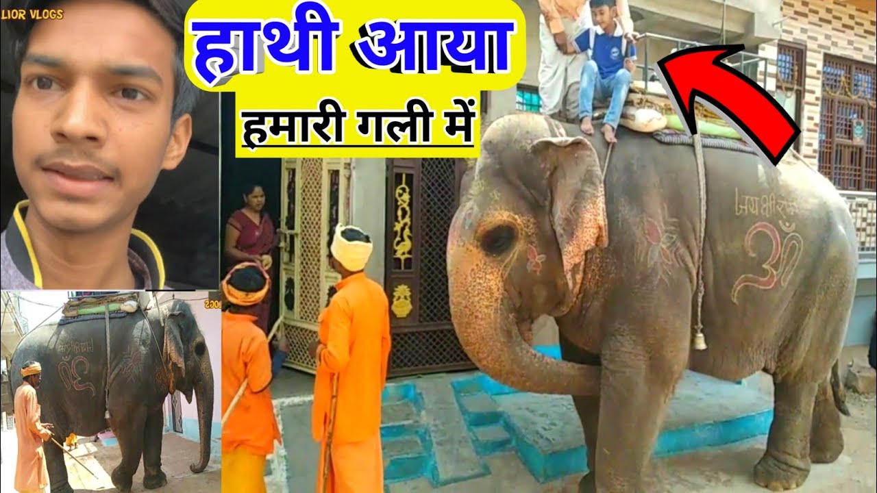हाथी का कारनामा देखें 😁 | Elephant Aaya | Hathi Ka Video | Hathi Kesa ...