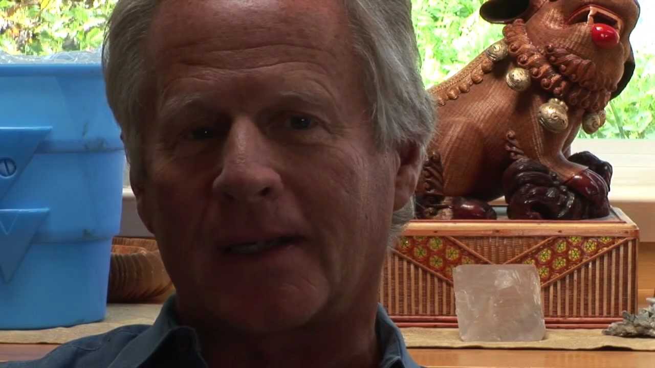 The Thrivealist 3 - Foster Gamble of THRIVE Meets Anthony J Hilder ...