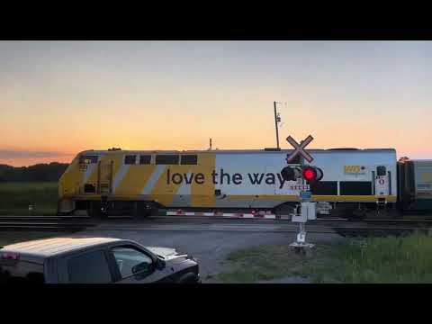 Westbound: P42DC Genesis no. 903, five LRC coaches, F40PH no. 6411 | CN Kingston Sub | July 6, 2025