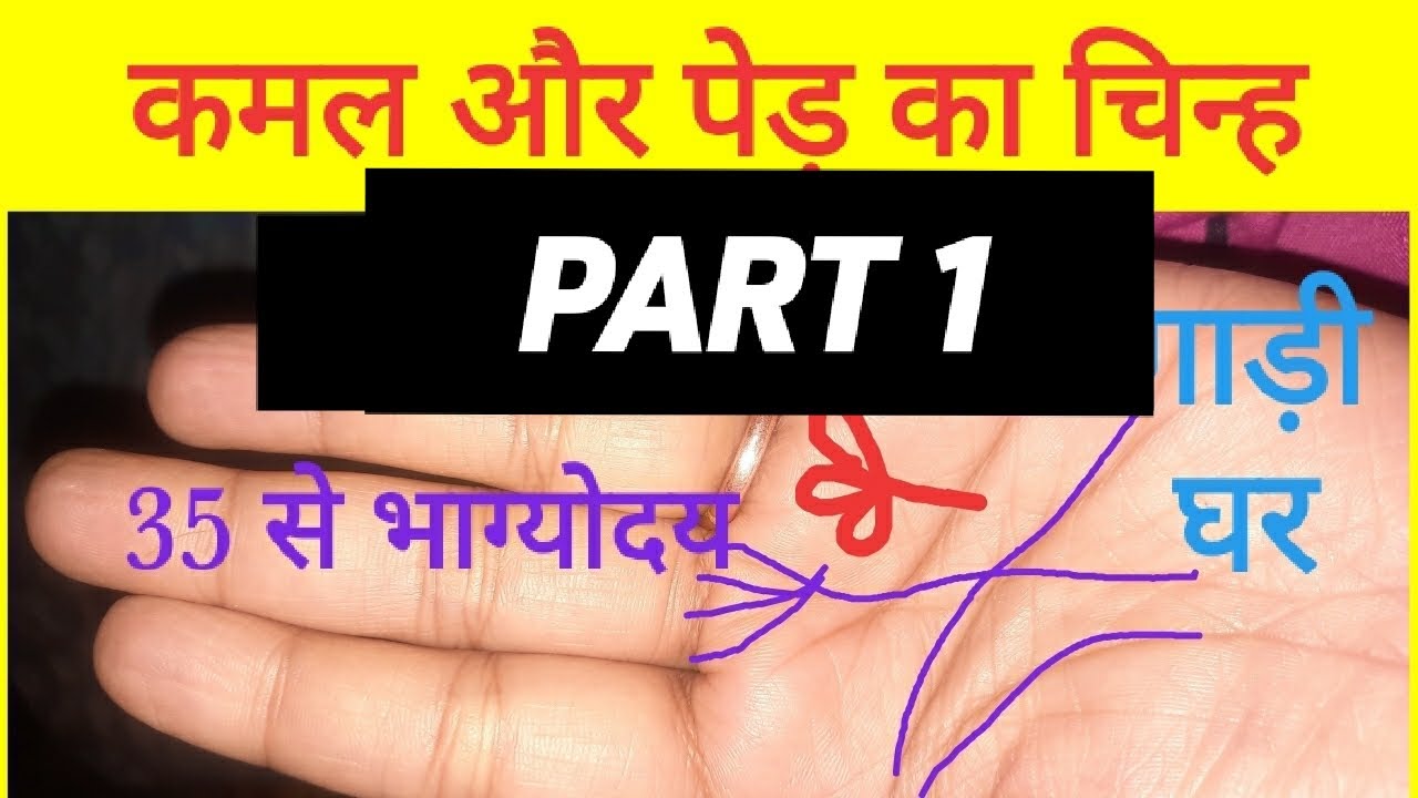 part 1 Lotus sign on palm - YouTube