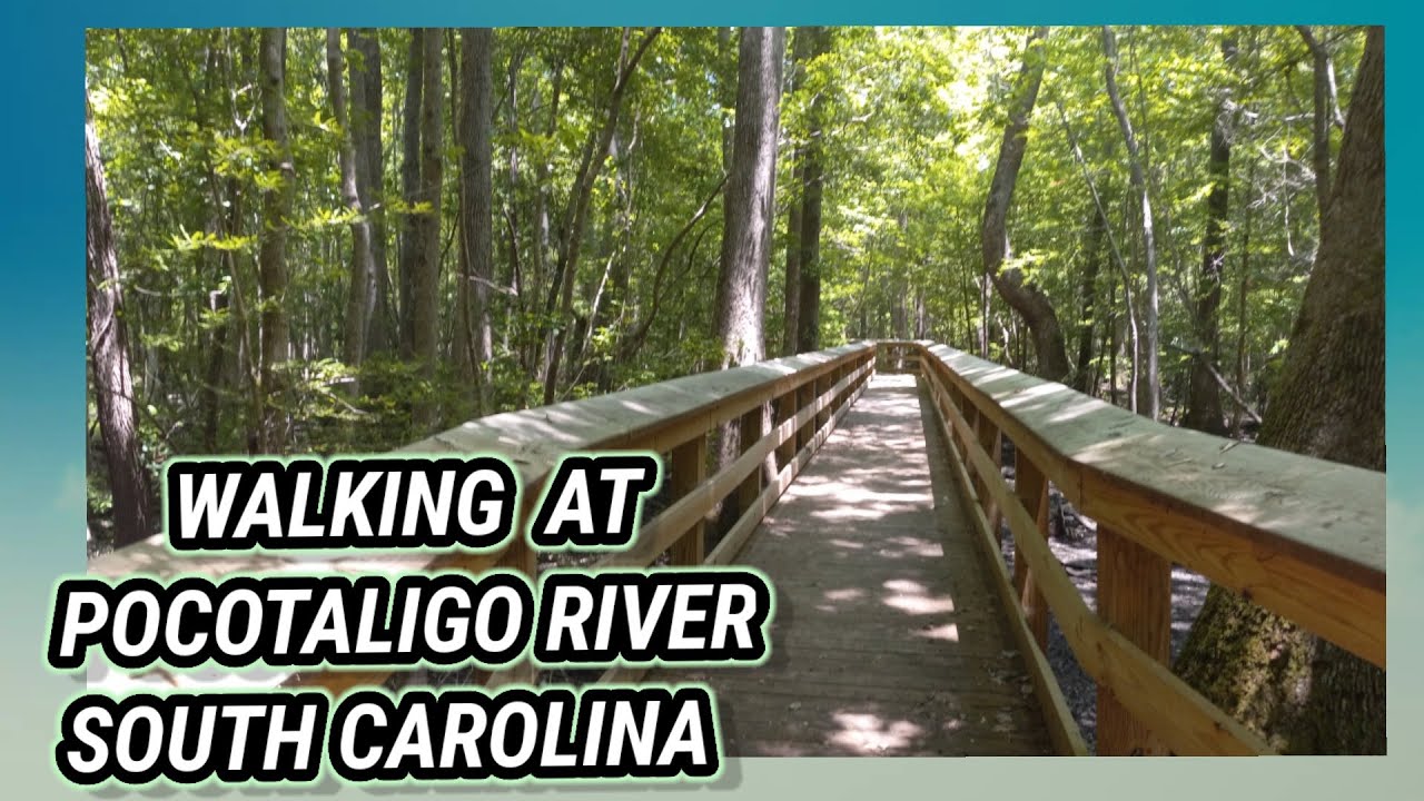 WALKING AT POCOTALIGO RIVER ||SOUTH CAROLINA - YouTube