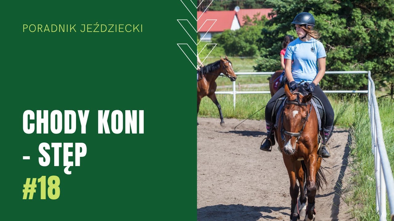 STĘP - chody koni | Poradnik jeździecki #18 - YouTube
