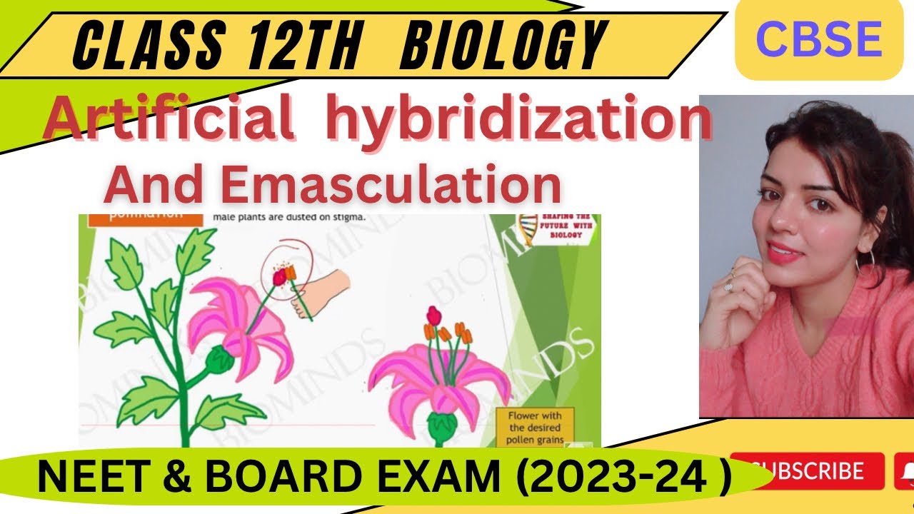 Artificial Hybridization II class 12 II chapter1 - YouTube