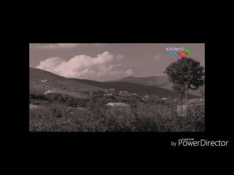 Sərvər Sahbəyli \