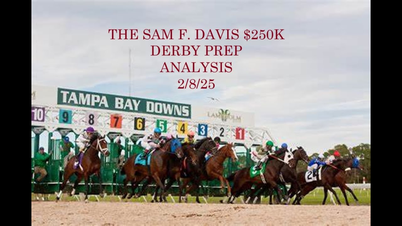 THE SAM F DAVIS STKS DERBY PREP ANALYSIS FEBRUARY 8, 2025 - YouTube