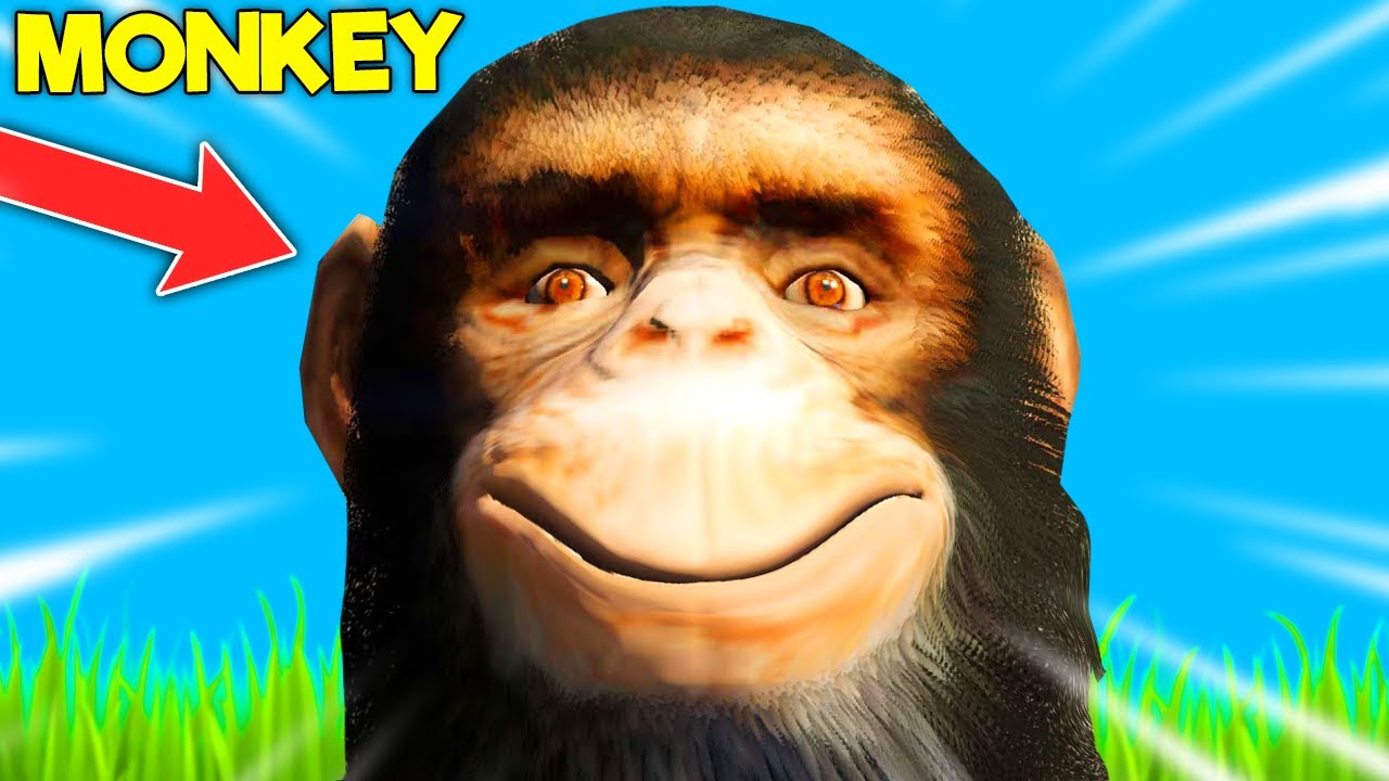 MONKEY MAN TROLLING GONE WRONG... - YouTube