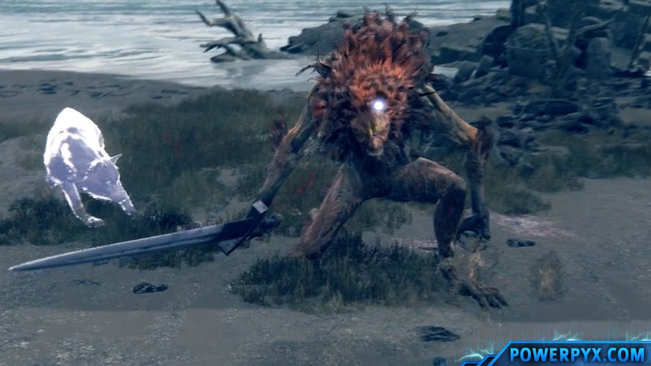 Elden Ring - Leonine Misbegotten Boss Fight & Location - YouTube