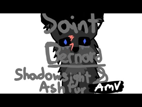 Saint Bernard-Shadowsight&Ashfur AMV - YouTube