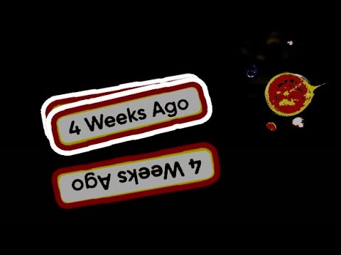 4 Weeks Ago - YouTube