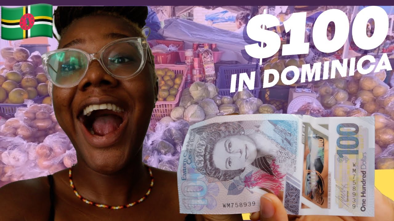 What can $100 get you in DOMINICA 🇩🇲 | Monthly Grocery Shopping in ...