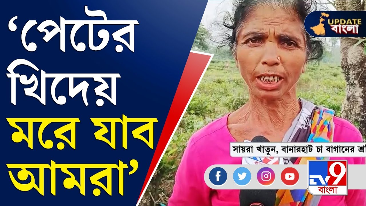 Banarhat News: চা বাগানে পোকার হানা - YouTube
