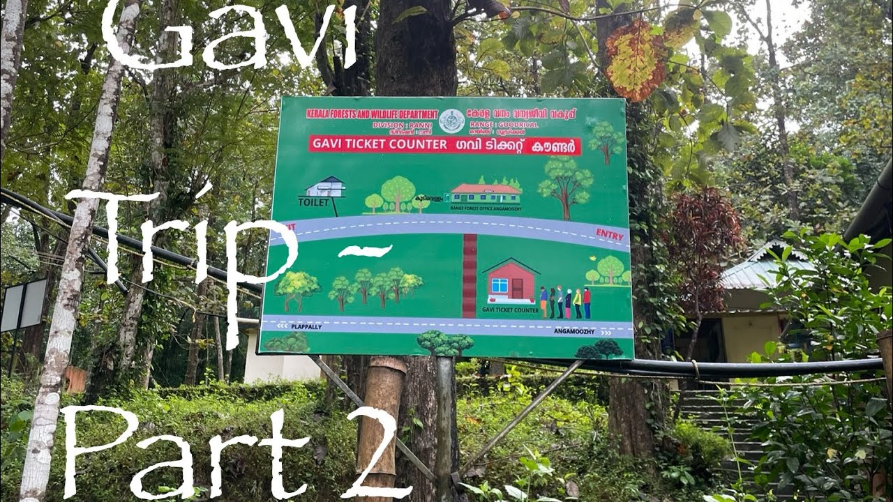 Gavi Trip - Part 2 |||| #travel #nature #wildlife#gavi #keralatourism ...