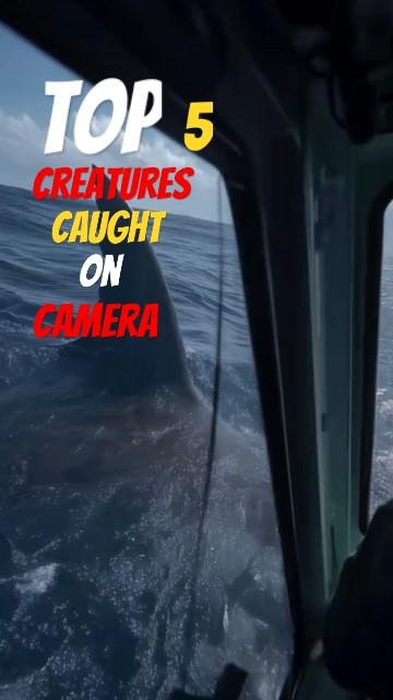 top 5 mythical creatures caught on camera - YouTube