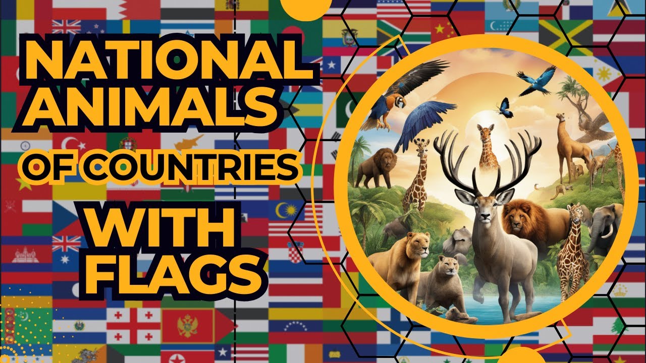 National Animals Of Countries With Flags ⛳ (YOU NEED TO KNOW)? - YouTube