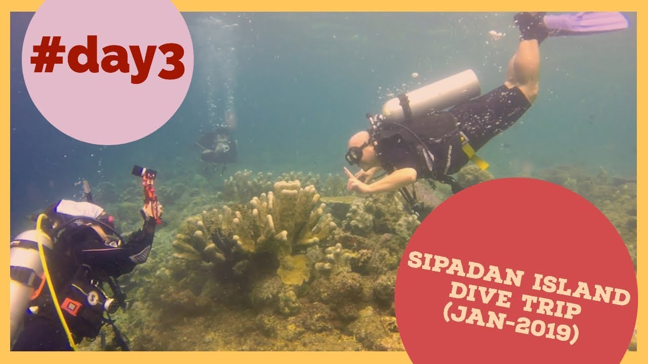 Sipadan Island Scuba Diving Trip (Sabah, Malaysia) - YouTube