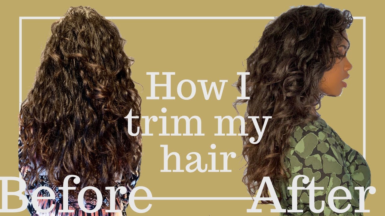 DIY Curly Hair Cut | How I Cut My Own Curly Hair - YouTube