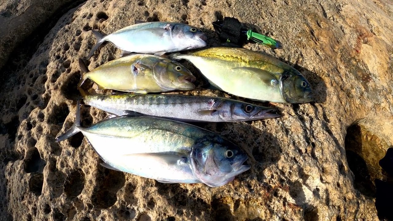 A great shore dive - Spearfishing Malta - Pescasub - YouTube