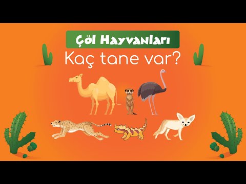 Kaç Tane Var Oyunu | Çöl Hayvanları | Birlikte Sayalım | Hayvanları Tanıyalım |  Saymayı Öğreniyorum