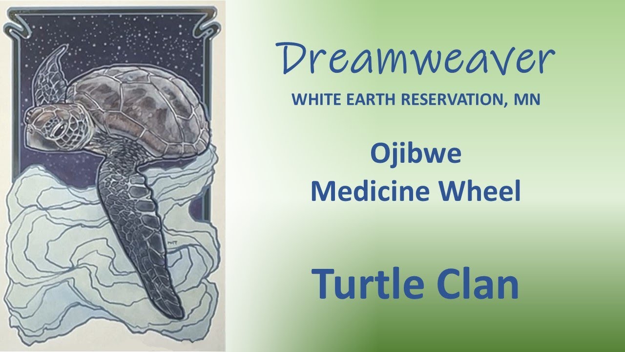 Dreamweaver Turtle Clan - YouTube