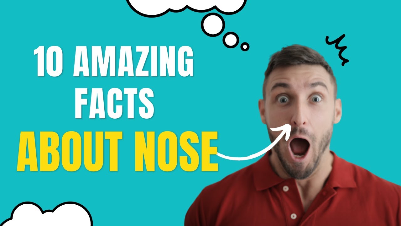 Unveiling the Secrets: 10 Mind-Blowing Facts about the Nose 👃 ...