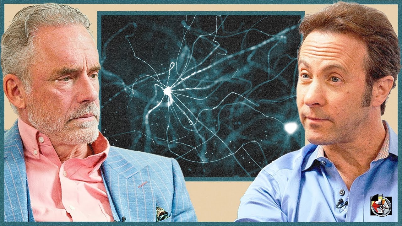 How Your Brain Decides Between Conflicting Actions | Dr. David Eagleman ...