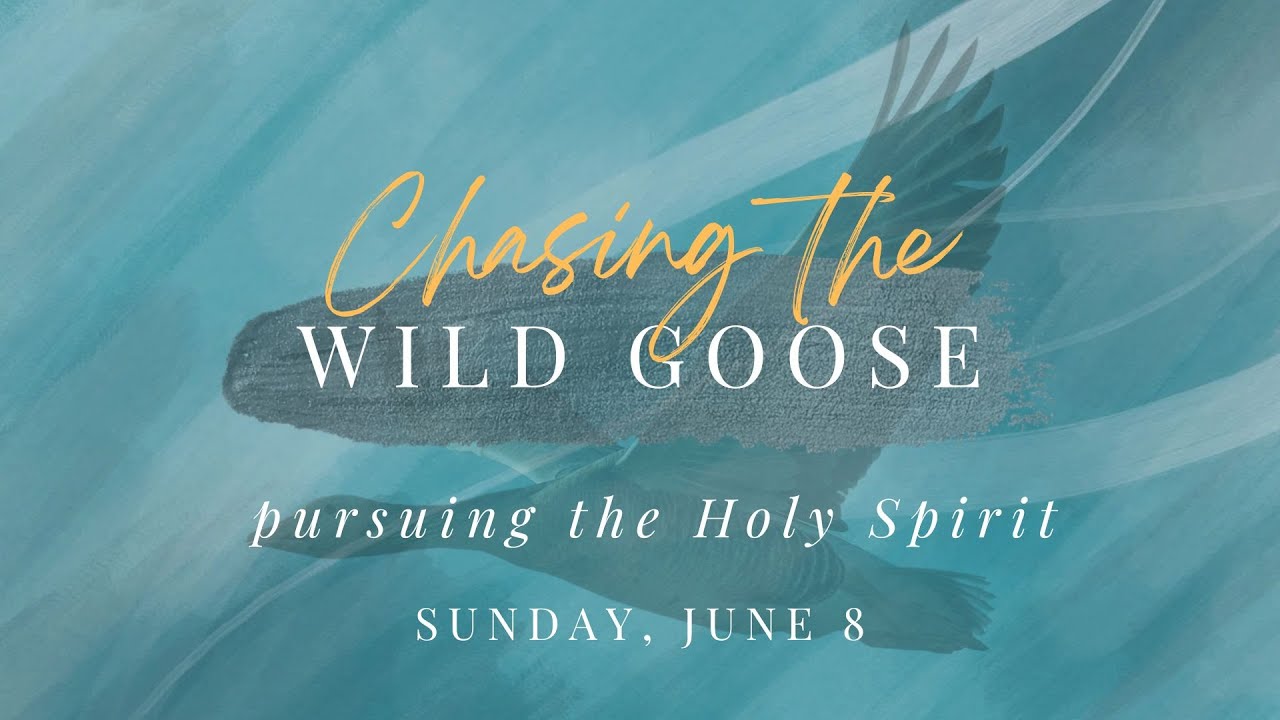 Chasing the Wild Goose | From Fear to Faith - YouTube
