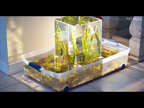How to Build Unique Multi Level Aquarium | How to Build Fish Aquarium ...